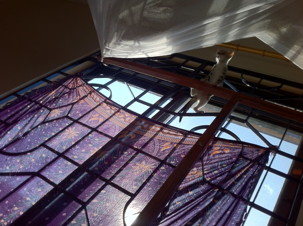 some of them are old – handkerchief tied to stick